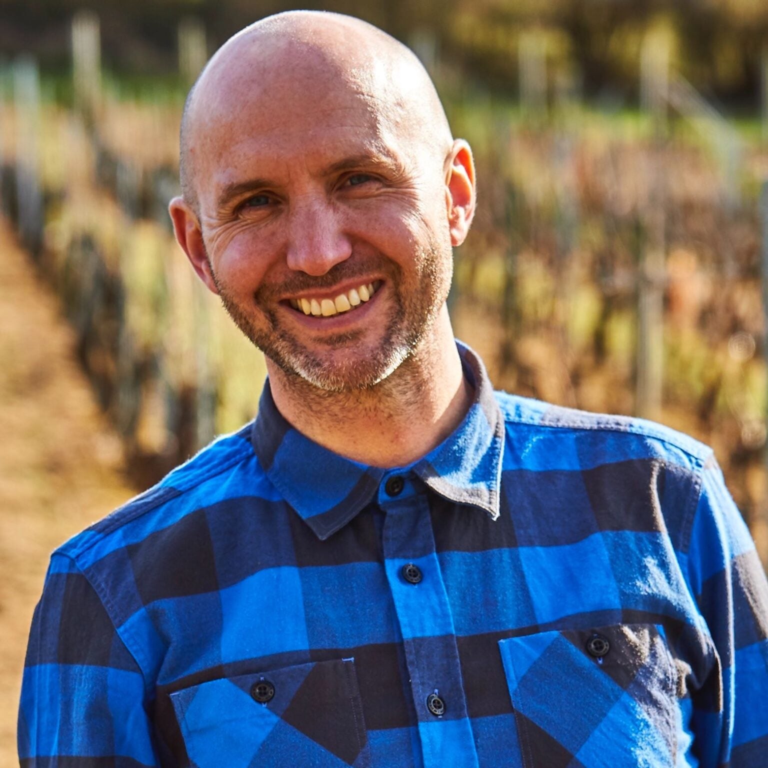 Gareth Bath - Arena International