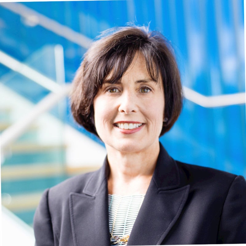 Wendy Erler - Arena International